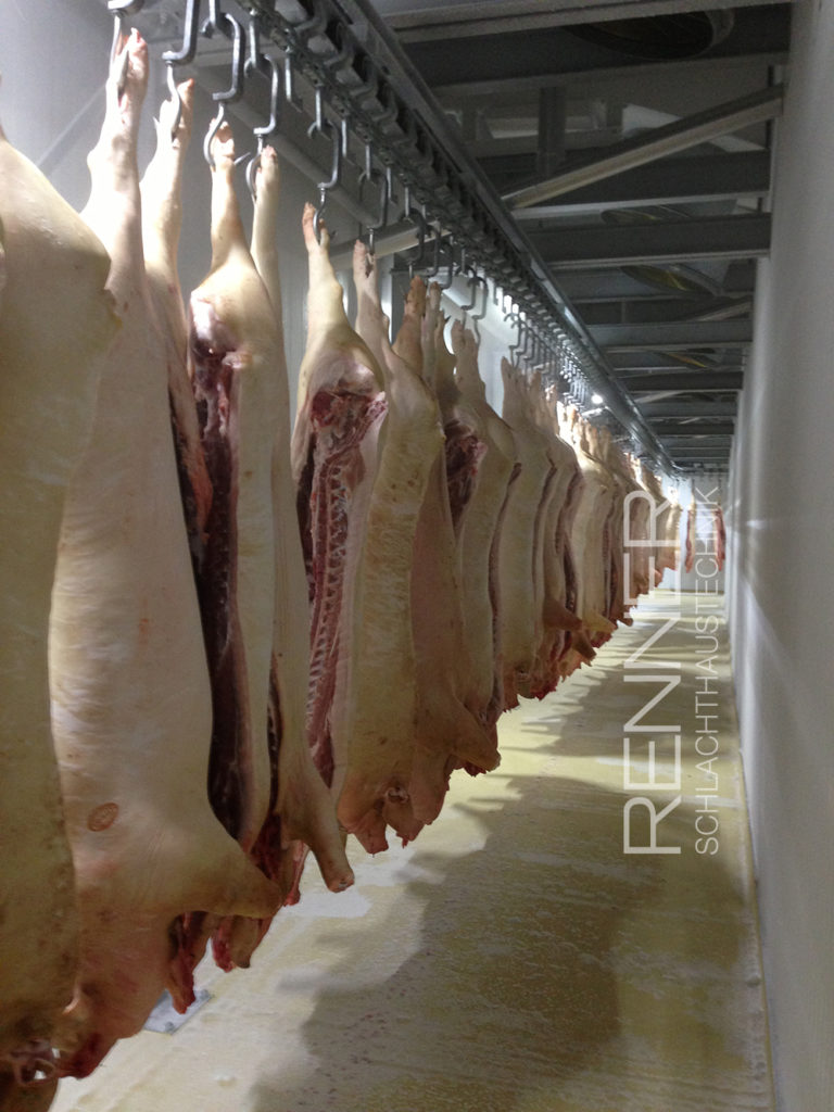 Pig Slaughtering | Renner Schlachthaustechnik