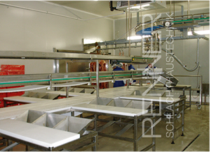 Pig Slaughtering | Renner Schlachthaustechnik